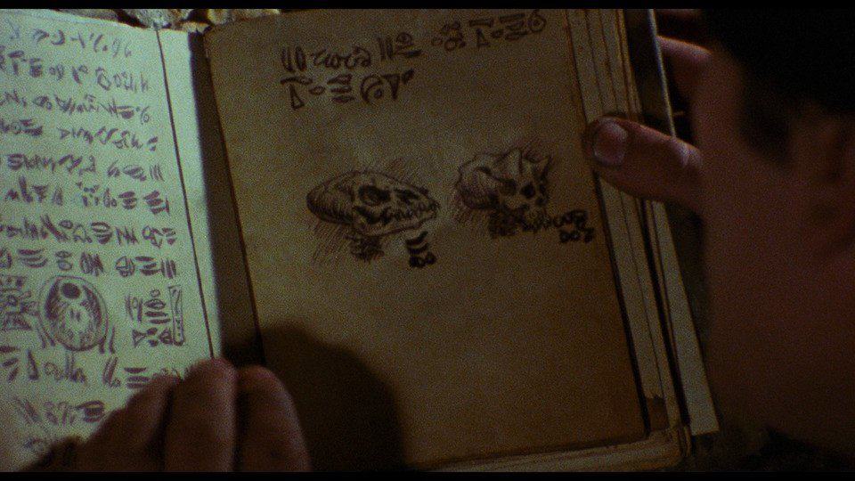 The Evil Dead (1981) Physical Media Shootout! Which Edition is the Best?